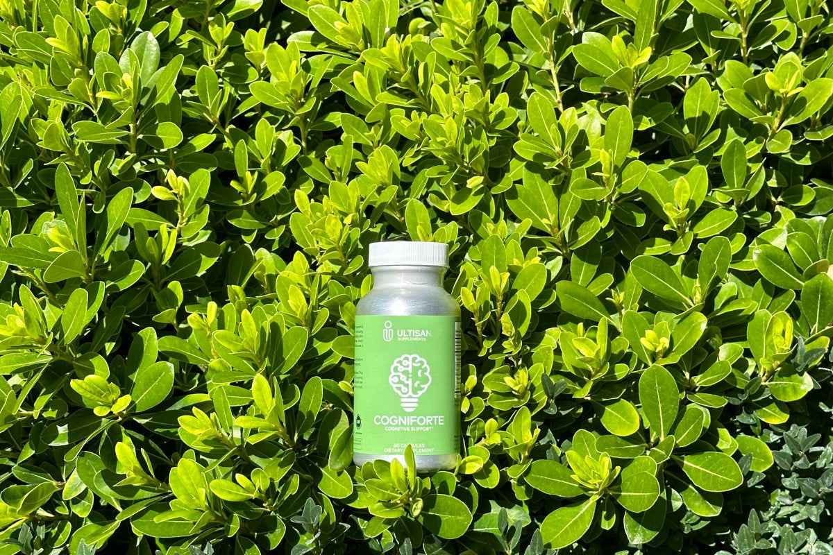 Bacopa Monnieri – Health Benefits, Uses, Dosage, Side Effects & More ...